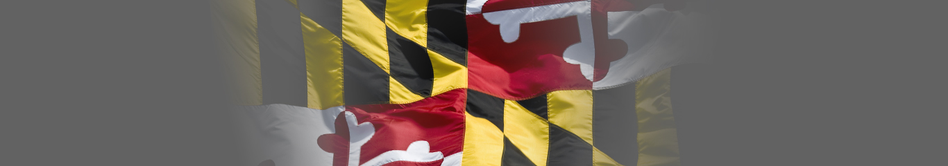 About Maryland Auto - Maryland Auto Insurance